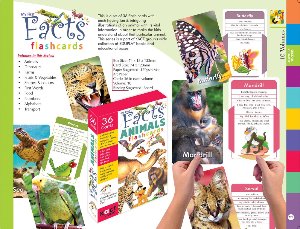 My First Facts Flashcards | Xactbook